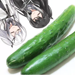 Kyuri (@Kyuri_mc) | Misskey.io