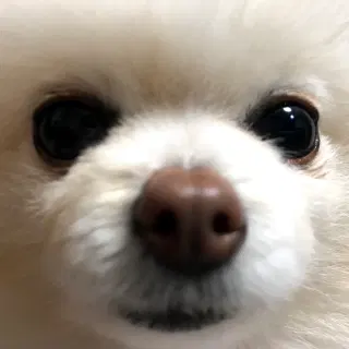 @KOU_CHANG | Misskey.io