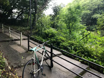 えにぐま (@enigma314) | Misskey.io